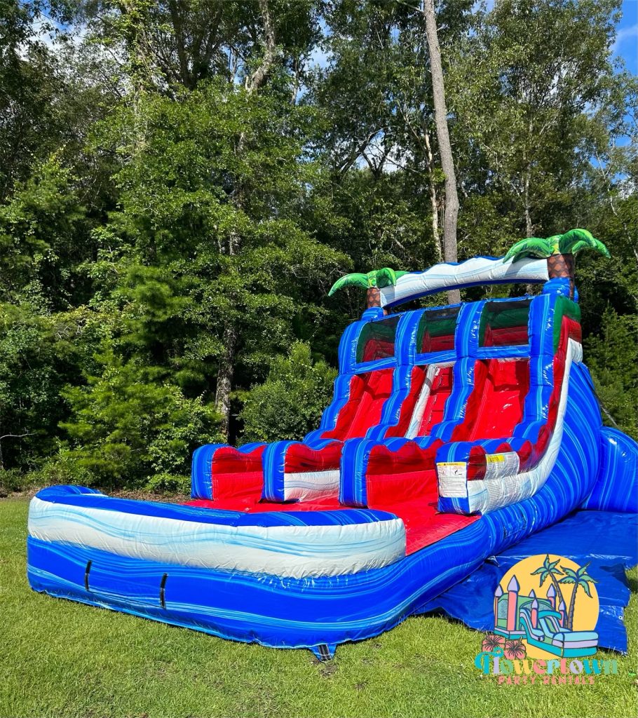 Flowertown party rentals - Party Rental and Bounce House Rental